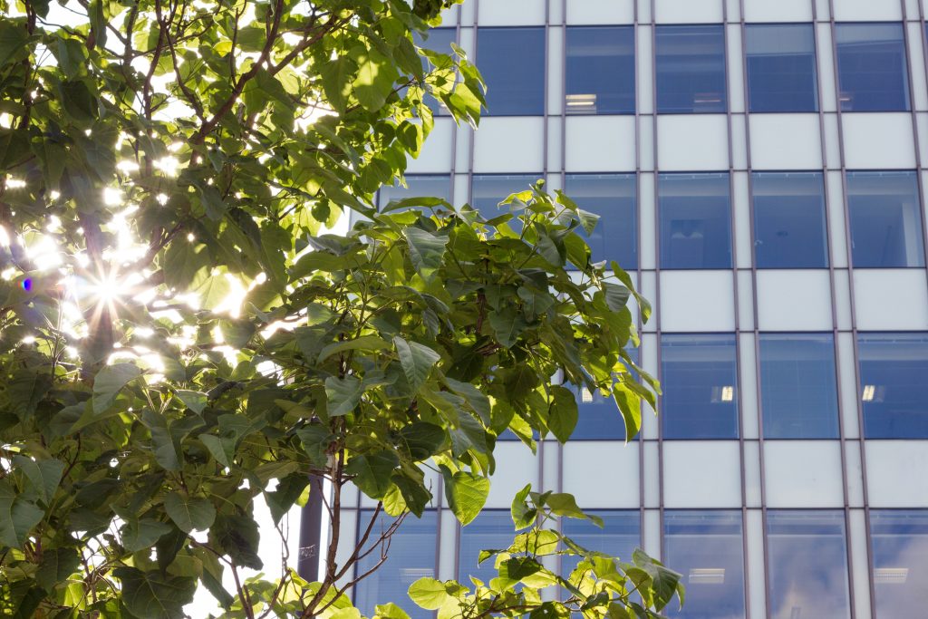 A sustainable future for Manchester - UKGBC - UK Green Building Council